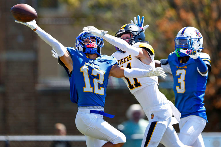 Lagowy, Lakatosh help lead Northwestern Lehigh football to convincing ...