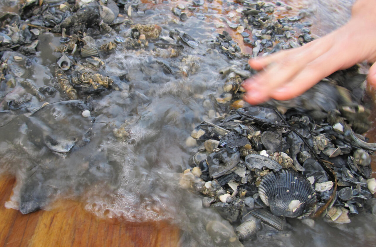 Fossils can reveal a reliable record of marine ecosystem functioning