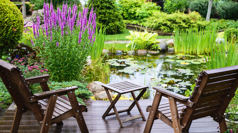 Plants You'll Want To Keep In Your Pond