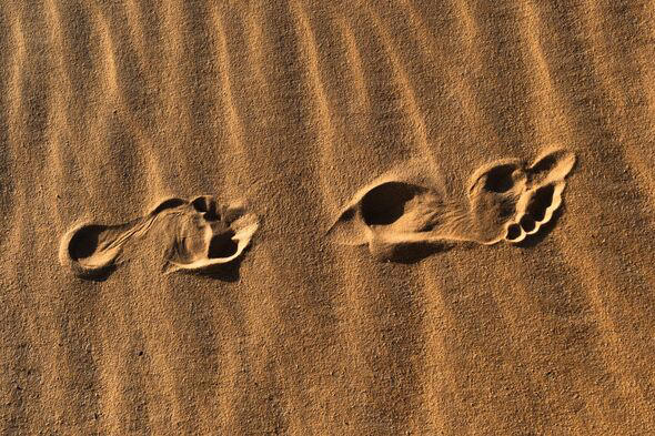 Archaeologists discover 115,000 year old human footprints in huge ...