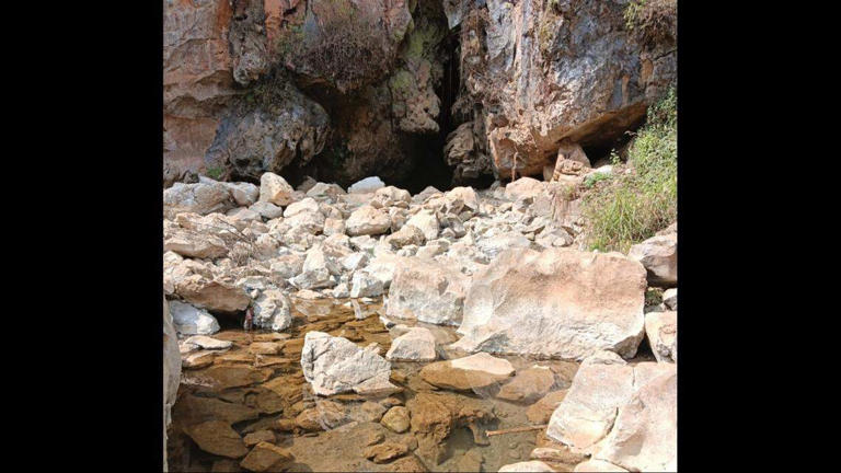 Locals find ‘blunt'-headed river creature near cave in China. It's a ...