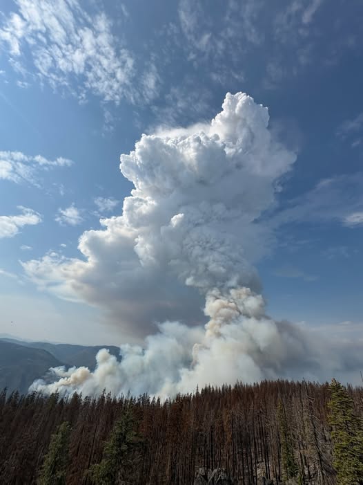 Emigrant fire grows to over 6,000 acres, red flag warnings in effect