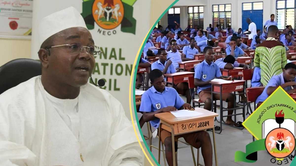 Breaking: NECO sets firm deadline for 2026 SSCE registration, details ...