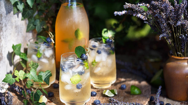 10 Facts About Shrub Drinks You Should Know