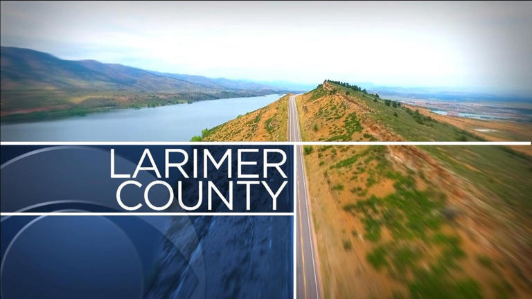 Tularemia detected in northern Colorado after dead rabbit discovered in ...