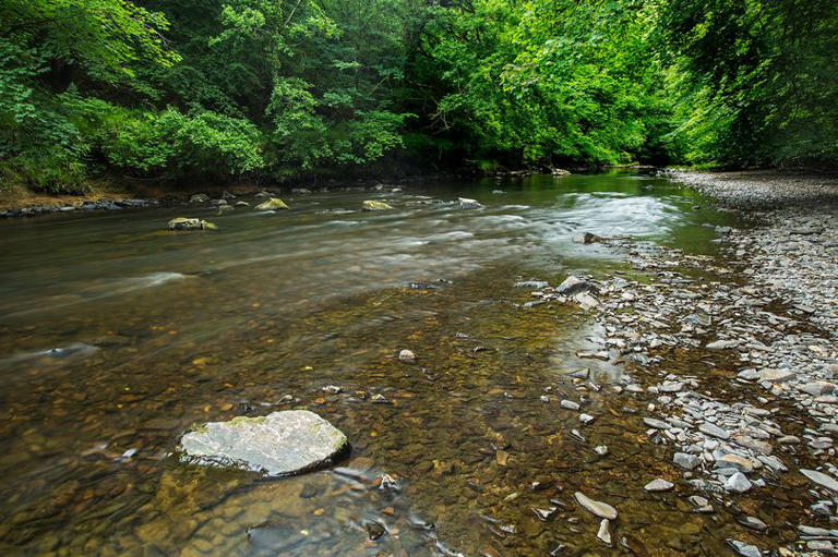 Pollution penalties are fuelling the fight to fix Devon’s rivers