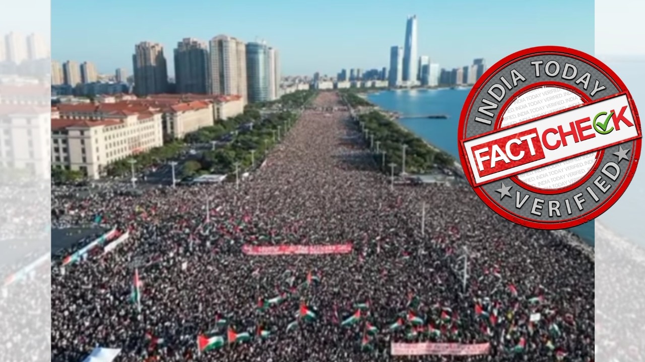 Fact Check: 7 million people in Japan march for Palestine? This clip is AI