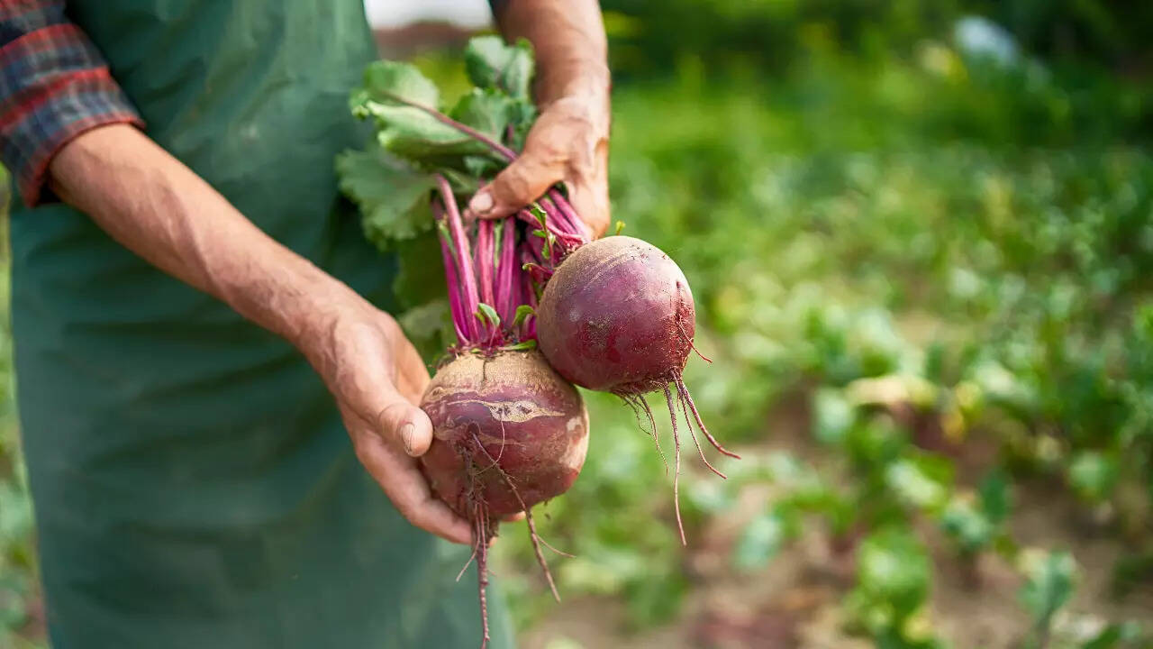 Sadhguru's 4 beetroot recipes for immunity and heart health
