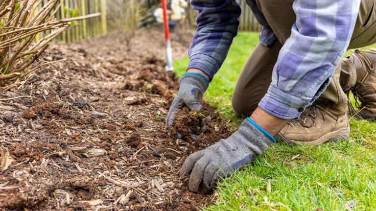 When You Use Too Much Mulch, Here's What Happens To Your Plants