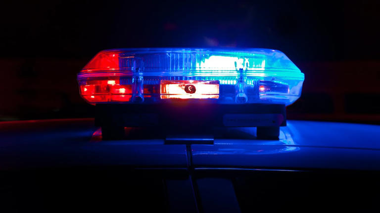 Dunedin man fatally shoots girlfriend, then himself, deputies say