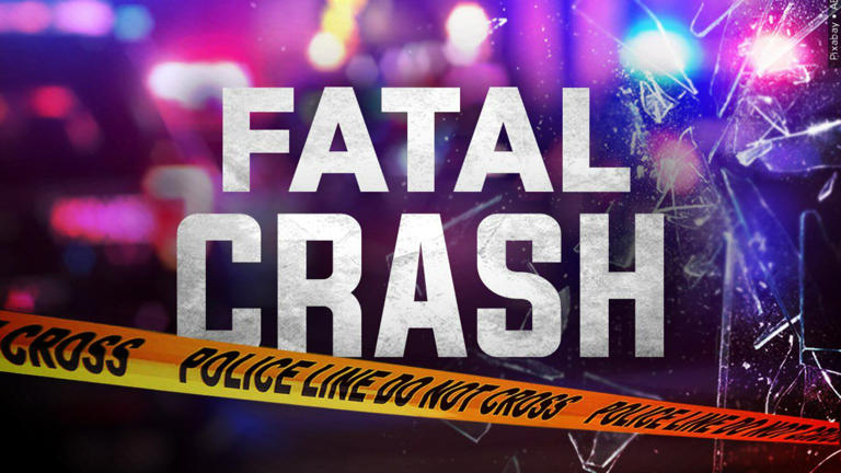 Vehicle crashes into downed tree in Hillsdale Co., killing driver ...