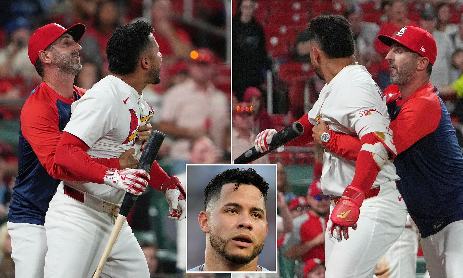 Cardinals slugger launches tirade and throws bat at umpire... but hits ...