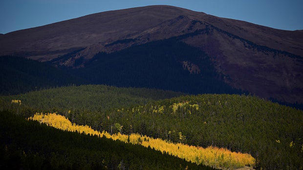 Colorado fall colors 2025 arriving early: See peak foliage forecast