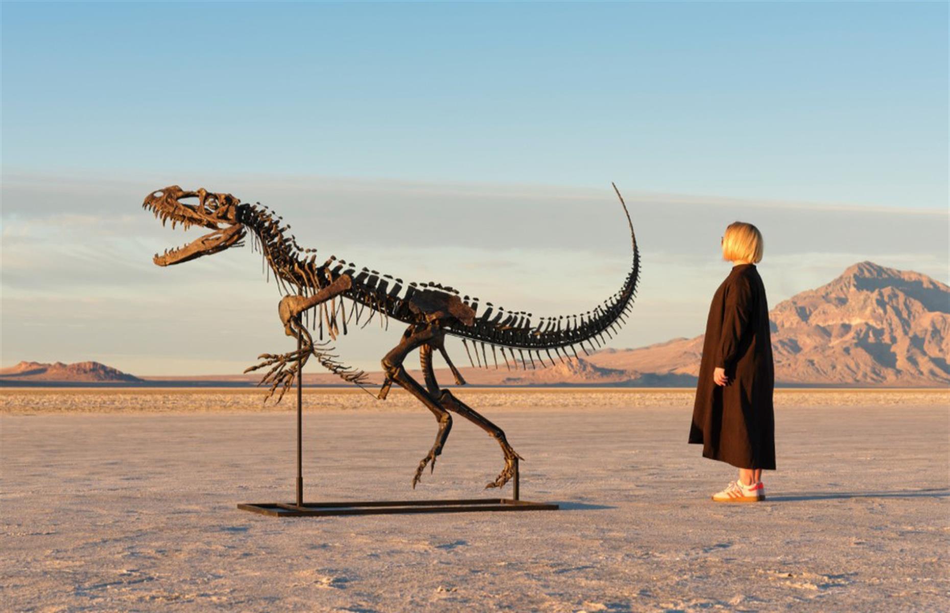 13 dinosaurs that sold for a fortune at auction