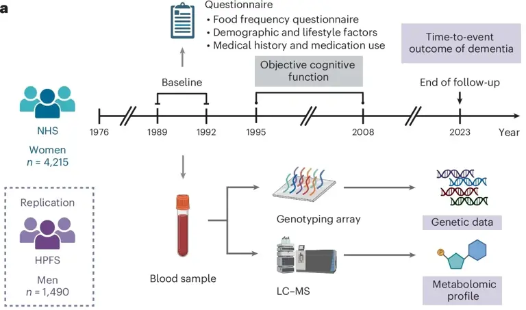Mediterranean diet can slow memory decline and reduce dementia risk