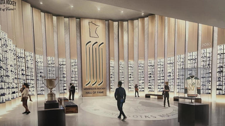 Group featuring Olympians, NHL stars unveils plans for a Minnesota ...