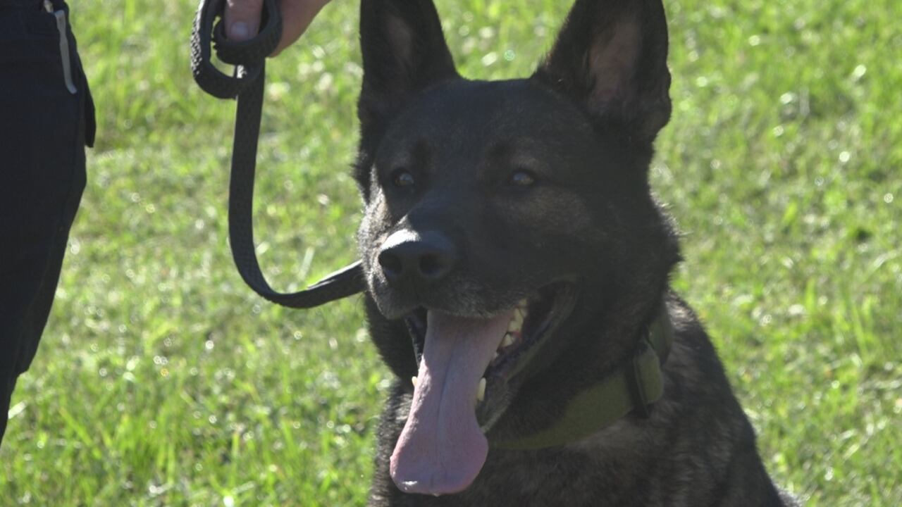 Broadway Police Department fundraising to support K-9 unit