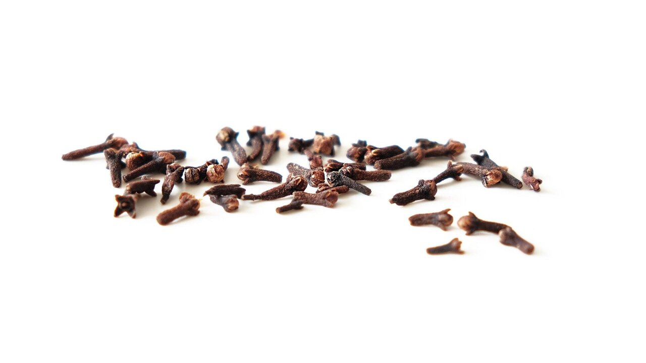 How cloves might help relieve pain and inflammation
