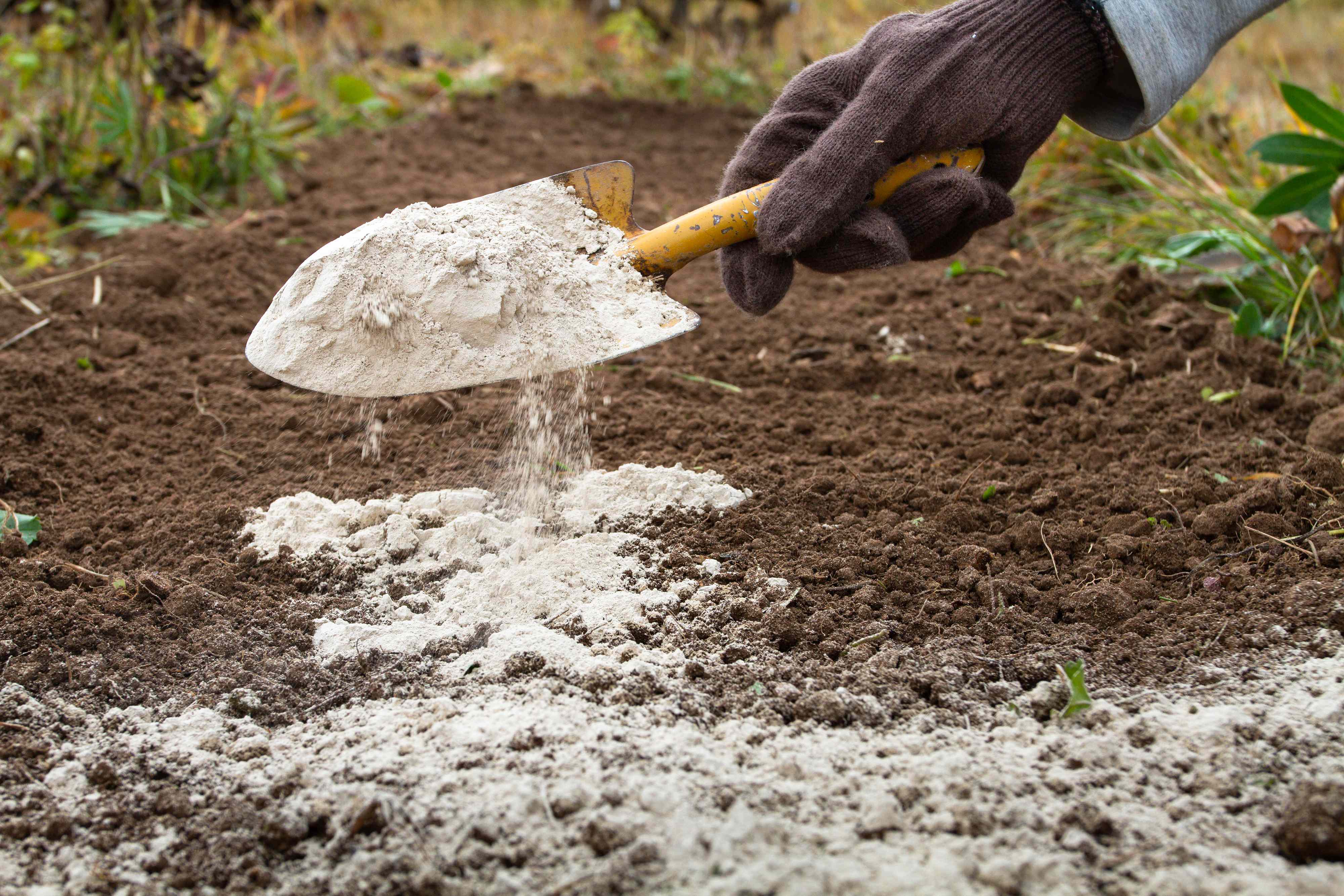 How to use flour in the garden to deter pests, boost plant growth, and more