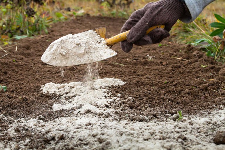 How to Use Flour in the Garden to Deter Pests, Boost Plant Growth, and More