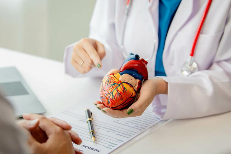 La mejor proteína para cuidar tu corazón después de los 60 años, según ...