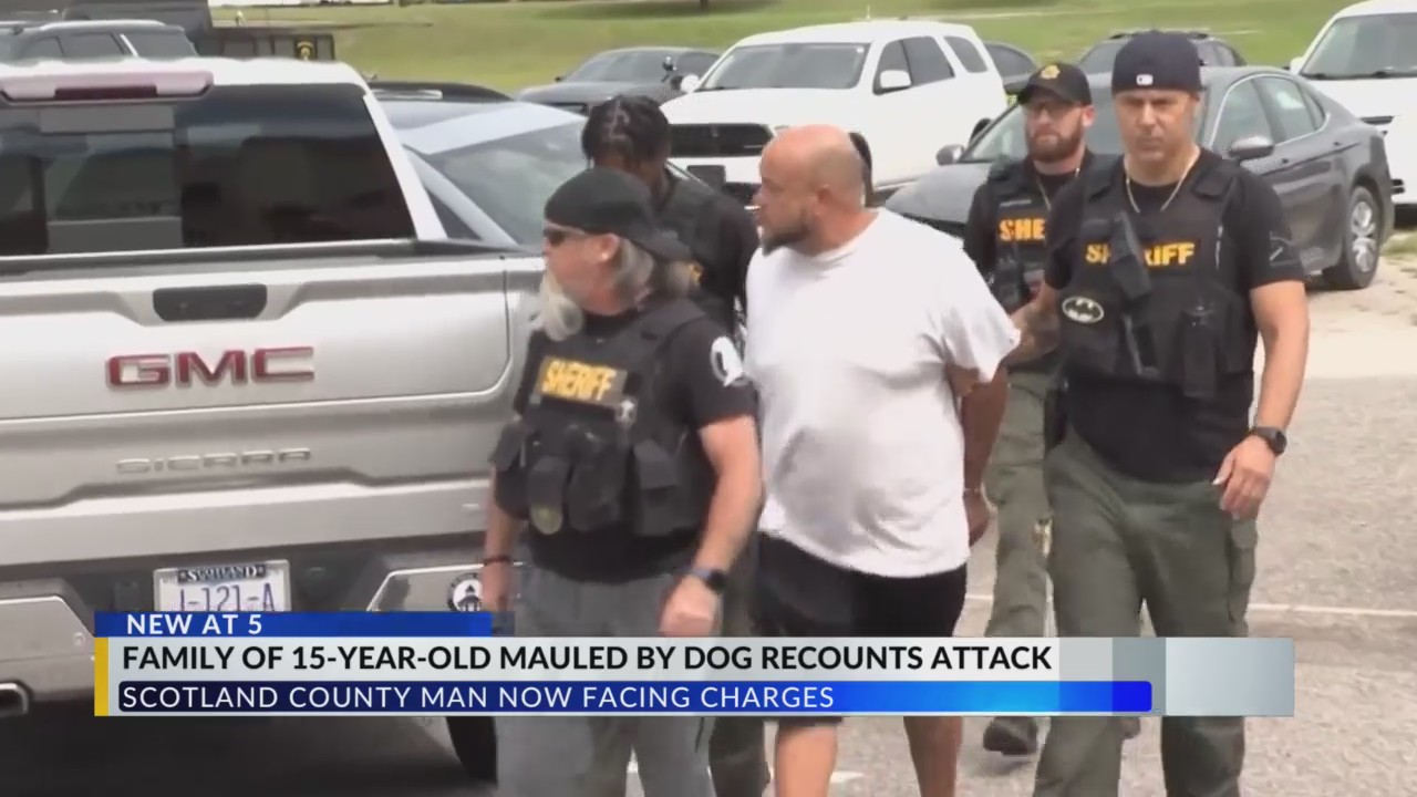 15-year-old mauled by dogs in Scotland County; owner faces charges