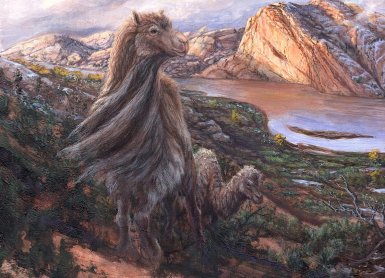 Ice Age camel fossil found along Green River