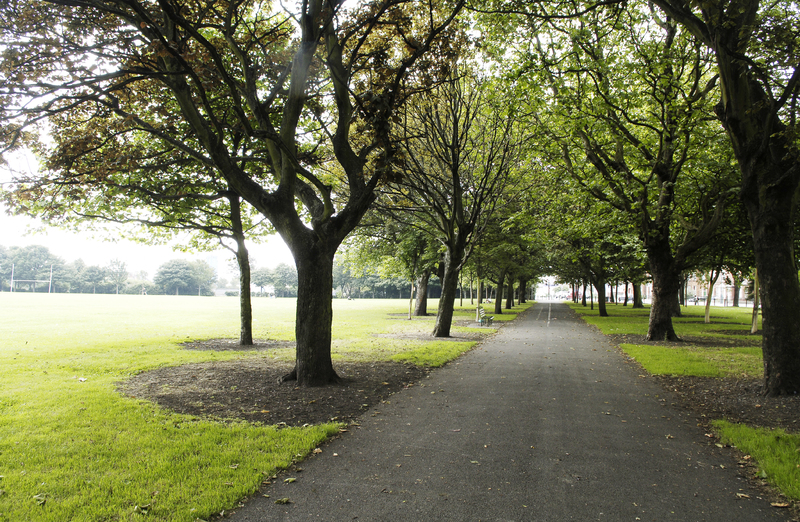 Unsupervised teen charged with stabbing man six times in Dublin park