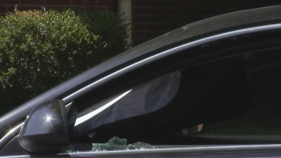Arrests in car theft ring give business leaders hope of rebound