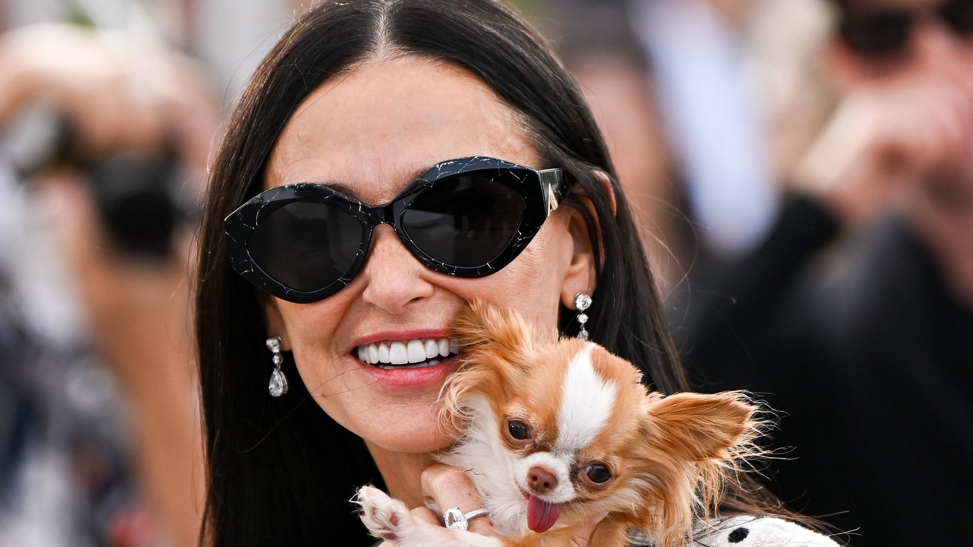 International dog day: the top 10 cutest celebrity pooches