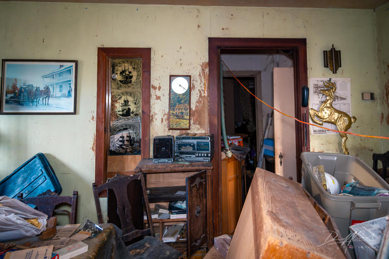 I Cleaned and Organized a Bedroom in this Cat Lady's Abandoned House