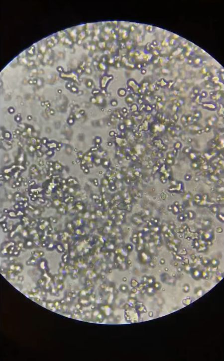 The Hidden World Under the Microscope | Tiny Details You’ve Never Seen