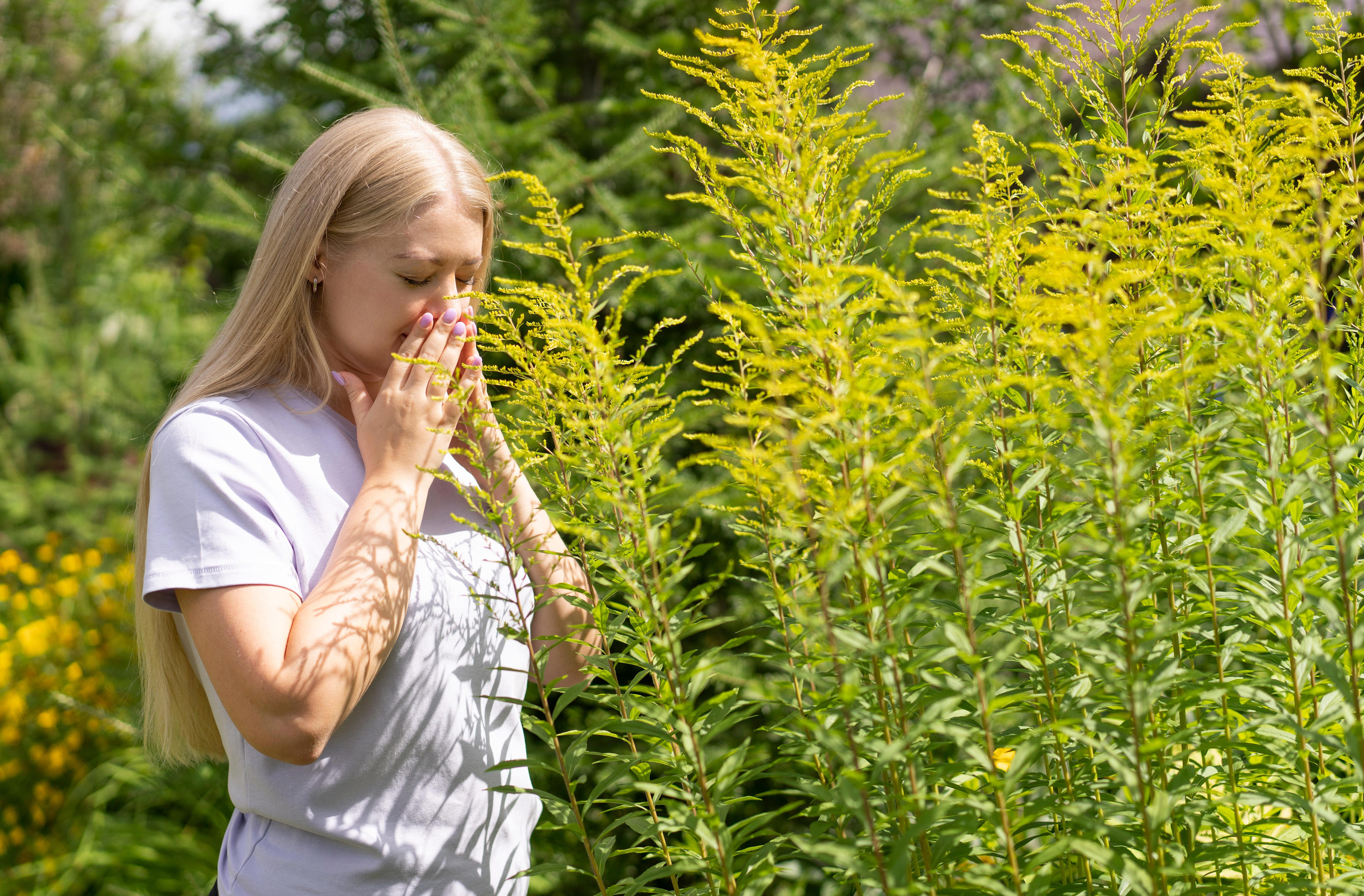 Sneezing? Itchy? Watery eyes? Fall allergy season has arrived and it's ...