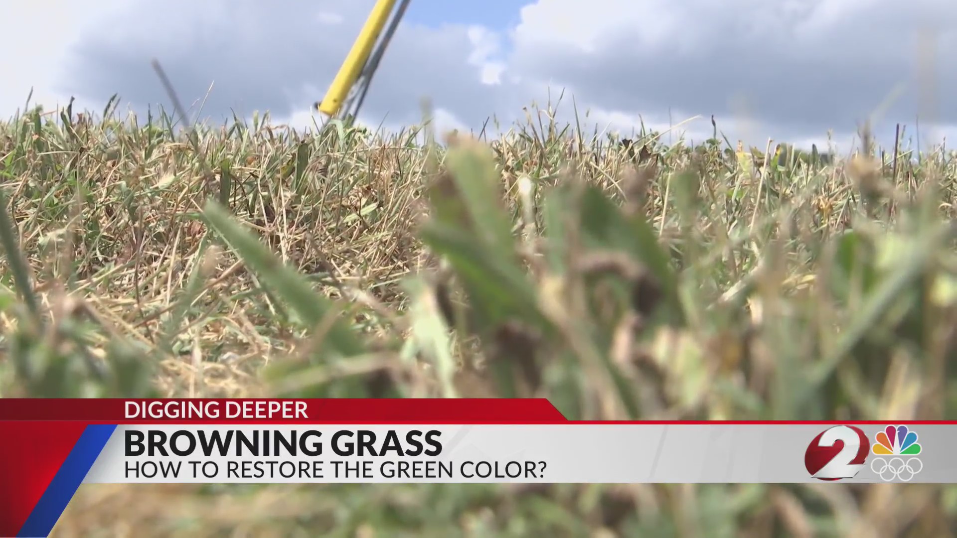 How to prevent browning grass as weather gets dry