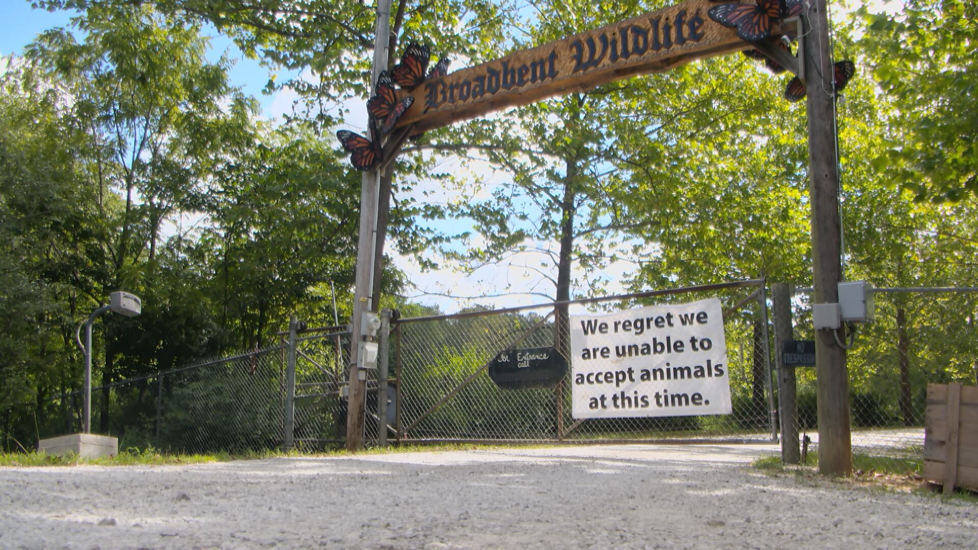 Broadbent Wildlife Sanctuary releases statement after 22 fawns euthanized