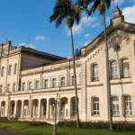 USP/ESALQ oferece cursos livres online e gratuitos