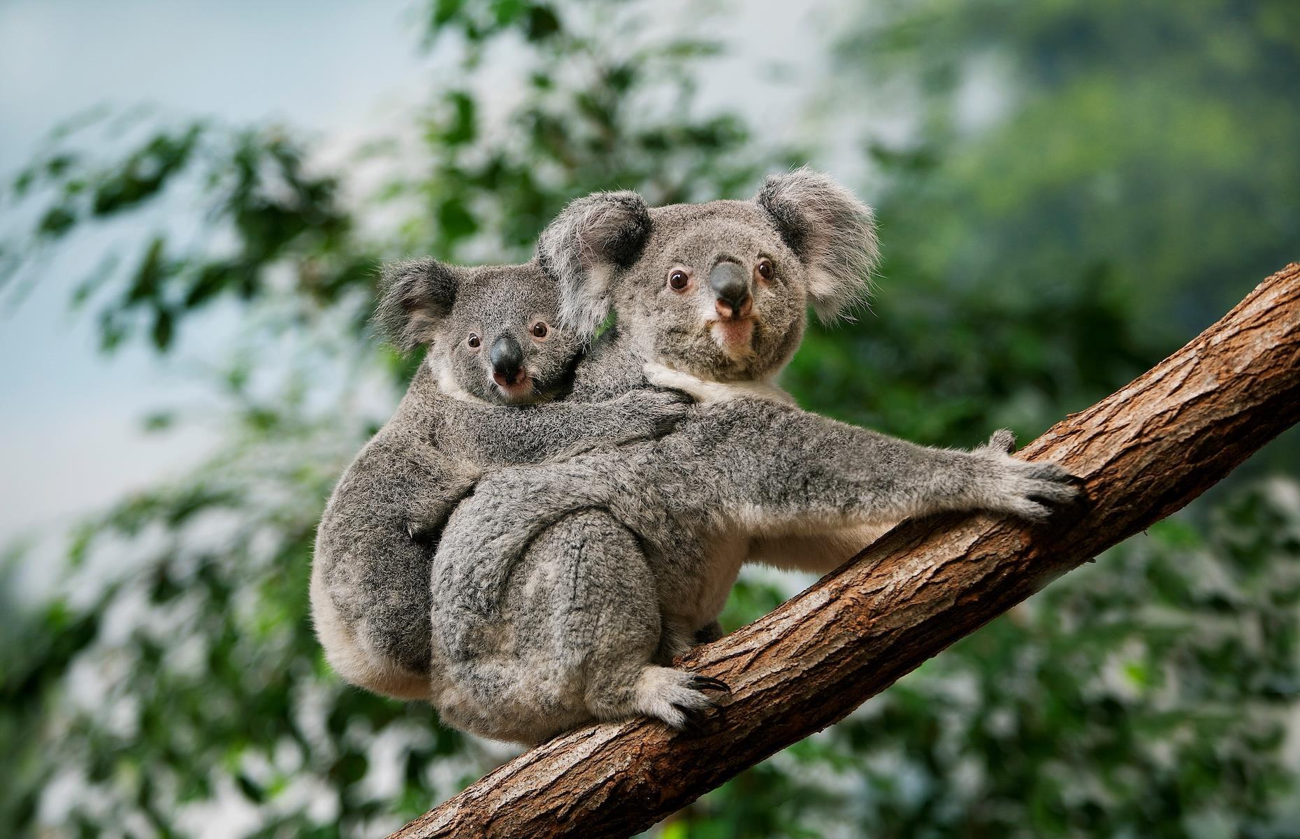 We've hunted down Australia's unmissable attractions, state by state