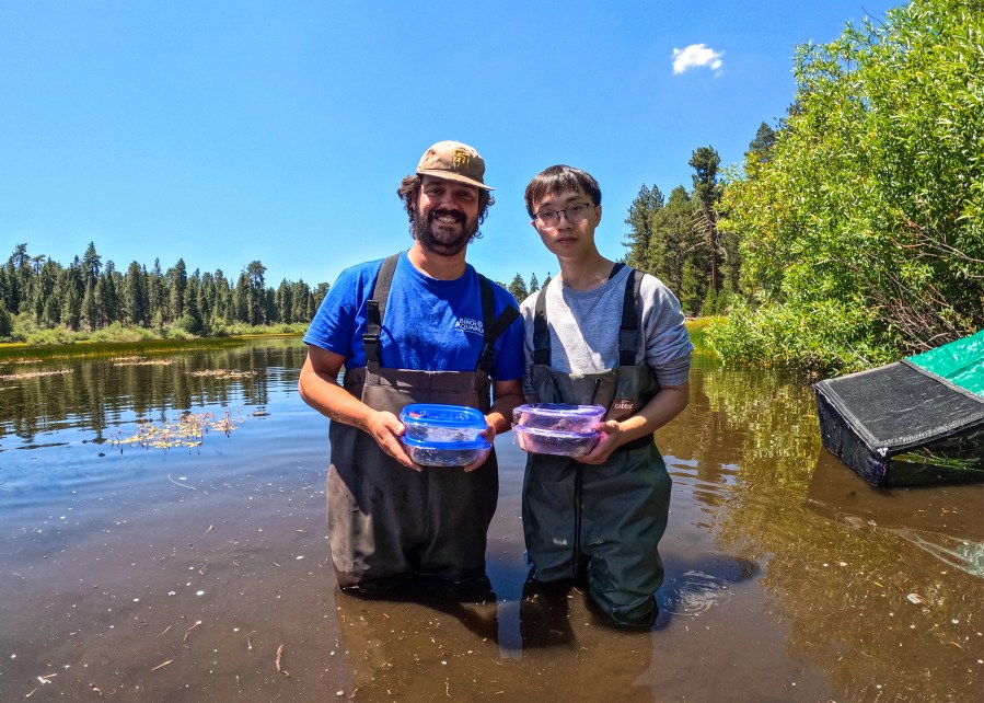 Birch Aquarium at Scripps finds new home for hundreds of endangered frogs