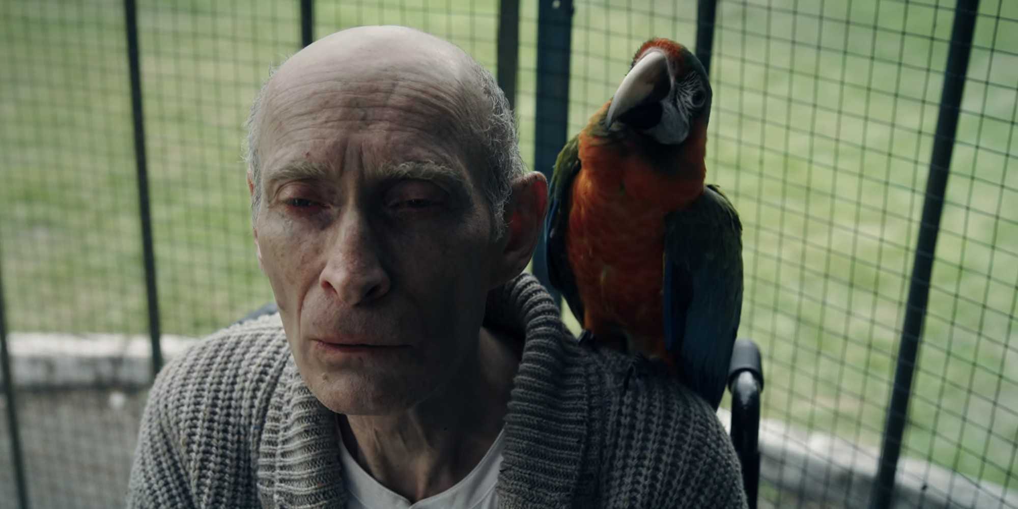 Tim Burton's Hidden Voice Cameo in Wednesday Season 2, Episode 4 Revealed