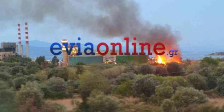Φωτιά στο Αλιβέρι, στην περιοχή του εργοστασίου της ΔΕΗ -Επιχειρούν ...