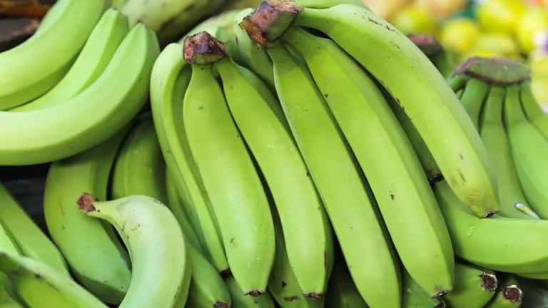 Cancer AIIMS gastroenterologist reveals 9 food facts for better gut ...