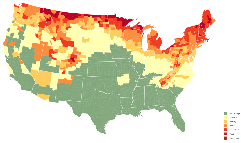 New England Fall Foliage 2025: Weekly forecast maps show when, where ...