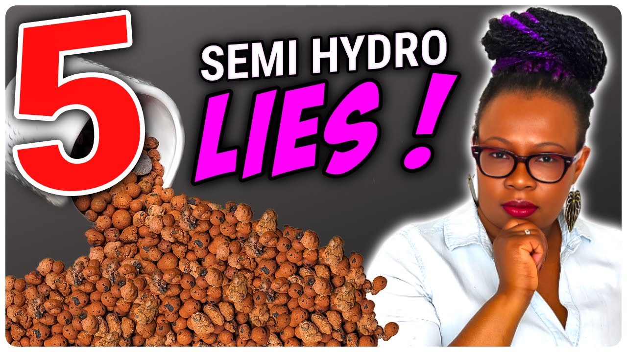 5 Lies You’ve Been Told About Semi-Hydroponics | Plant Care Myths Busted