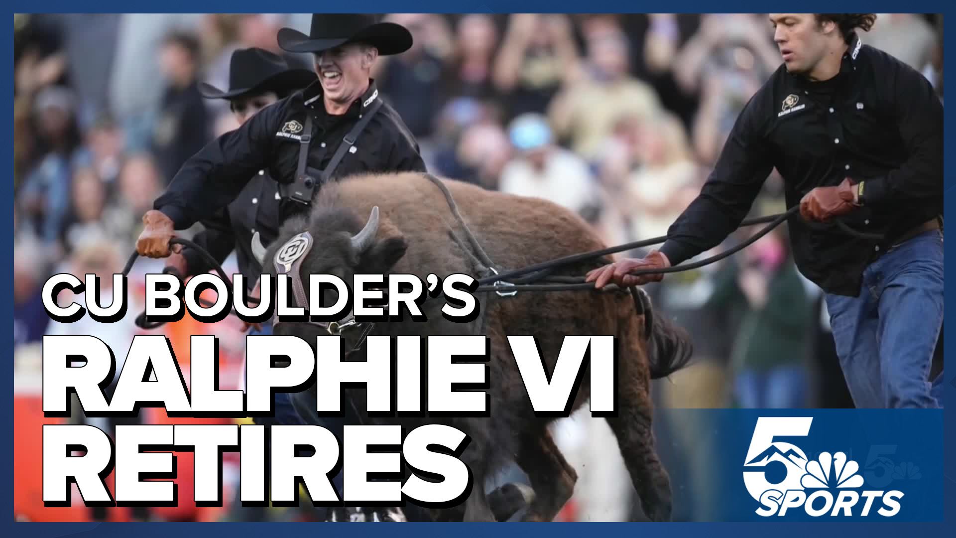 CU Boulder's Ralphie VI retires from kicking off football games