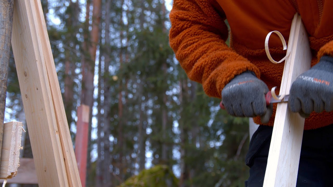 Reviving the overgrown garden