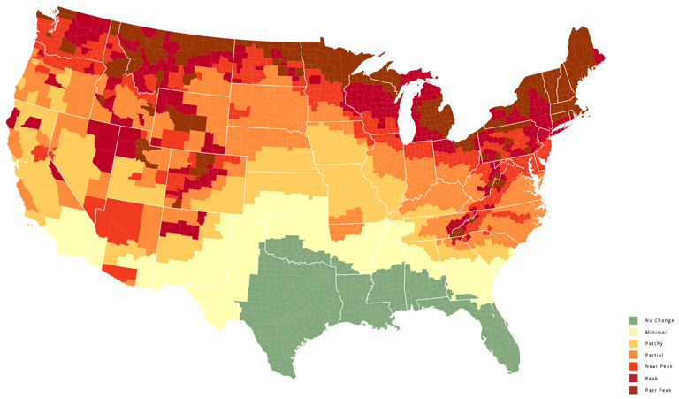 Vermont Fall Foliage 2025 is starting. See week-by-week maps of where ...