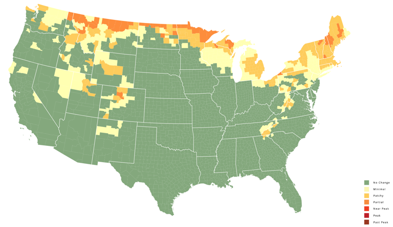 Vermont Fall Foliage 2025 is starting. See week-by-week maps of where ...