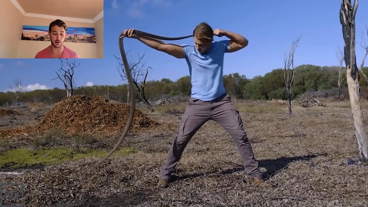 Black Mamba vs Human – Freehandle Breakdown