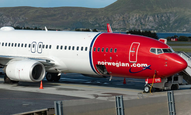 Boeing 737 carrying 181 passengers makes emergency landing after tyre ...