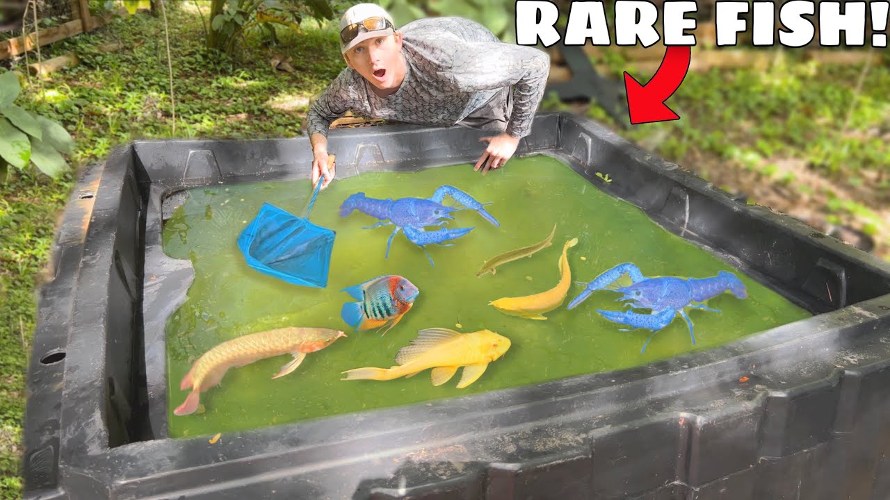 Rare Fish Discovered Thriving in a Mysterious Green Slime Pond